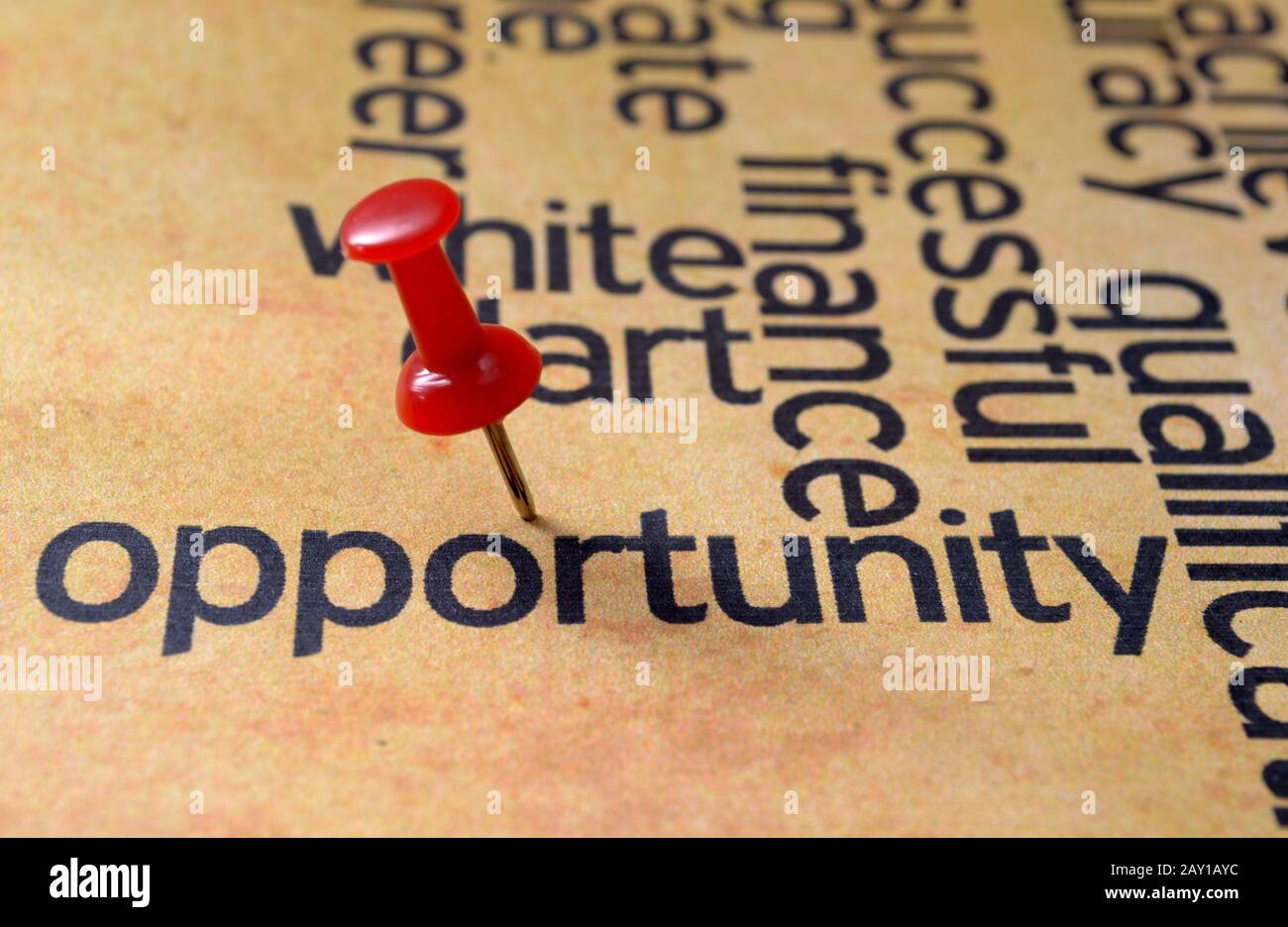 Push pin on opportunity text Stock Photo - Alamy