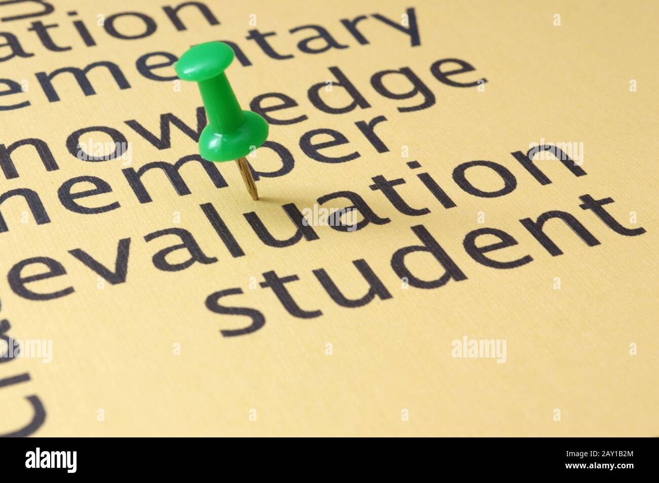 Evaluation student concept Stock Photo - Alamy
