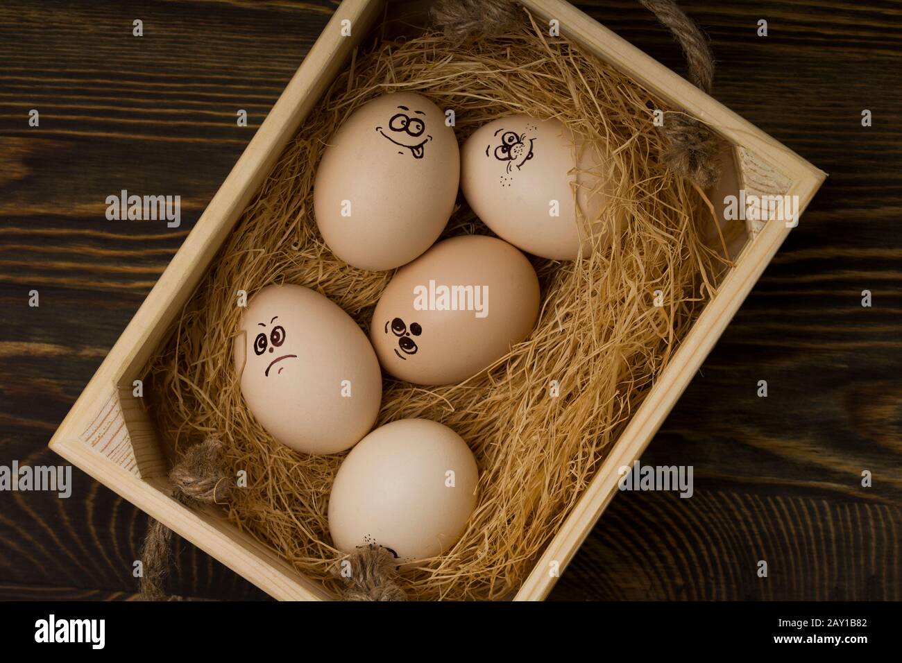 Funny nest hi-res stock photography and images - Alamy