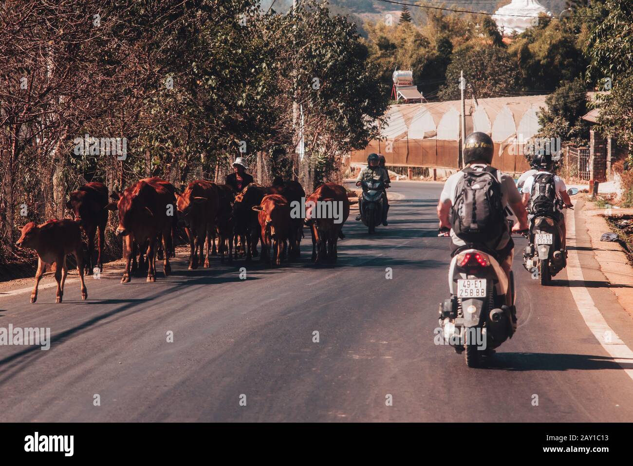 Vietnam highlands hi-res stock photography and images - Alamy