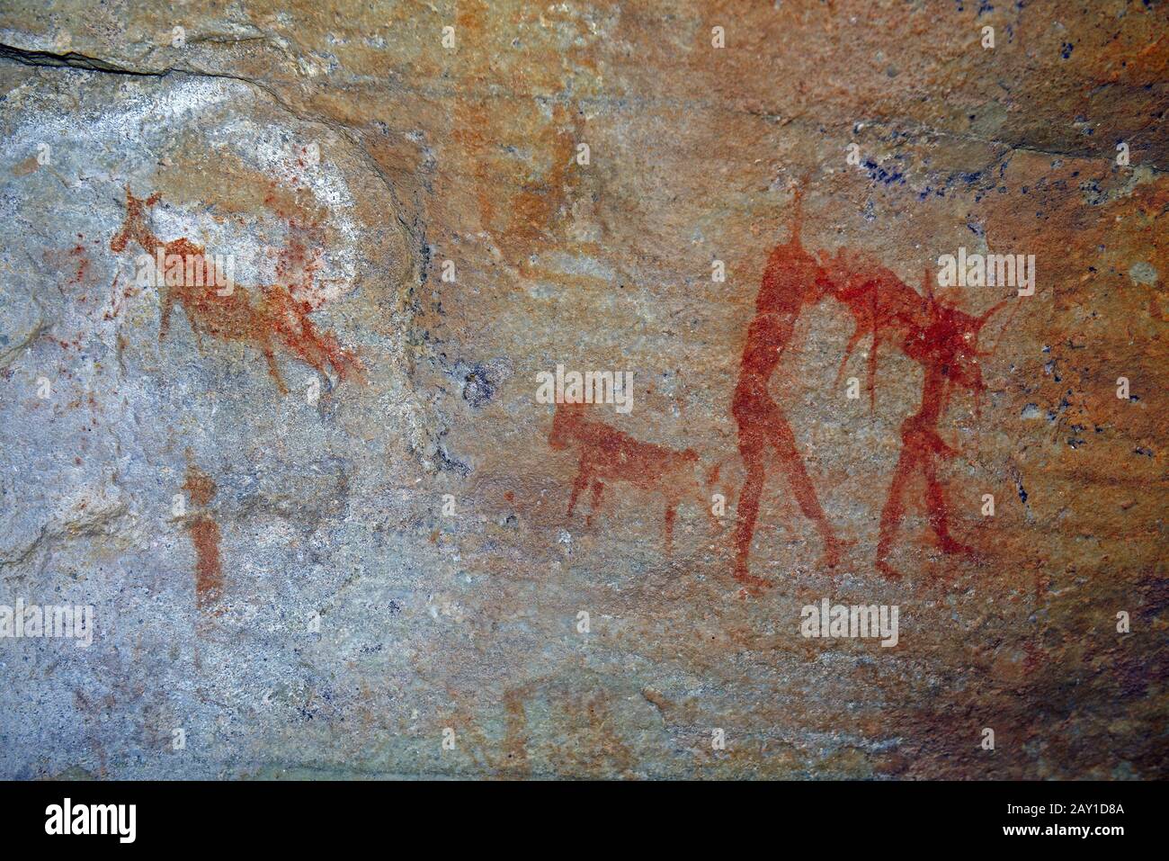 Old rock paintings of the San, indigenous people of South Africa ...