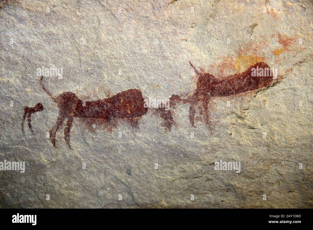 Old rock paintings of the San, indigenous people of South Africa ...