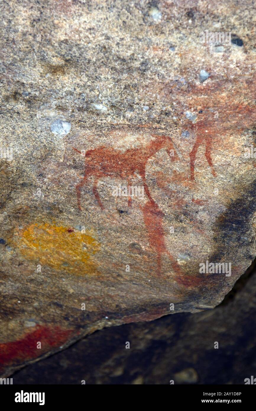 Old rock paintings of the San, indigenous people of South Africa ...