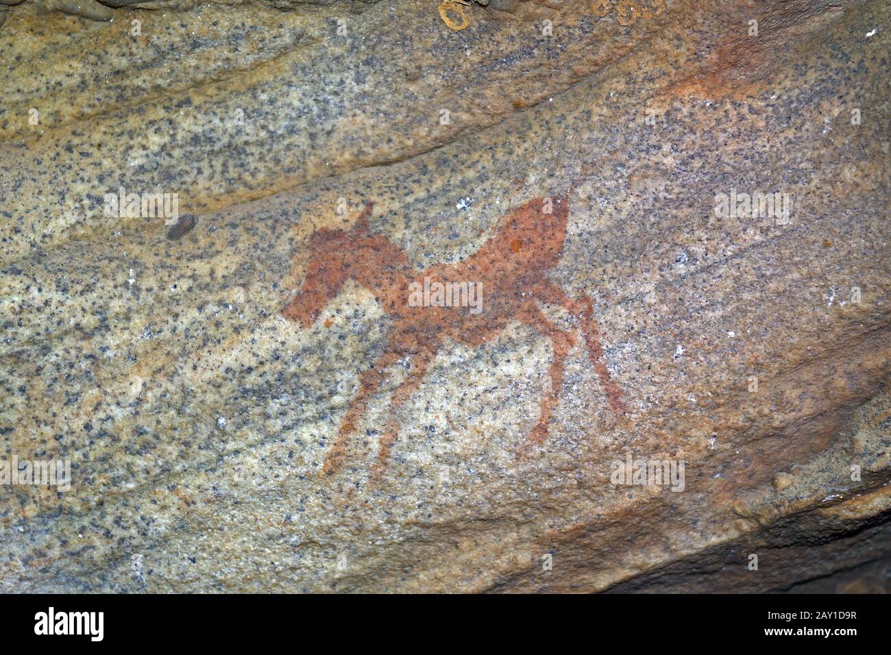 Old rock paintings of the San, indigenous people of South Africa ...