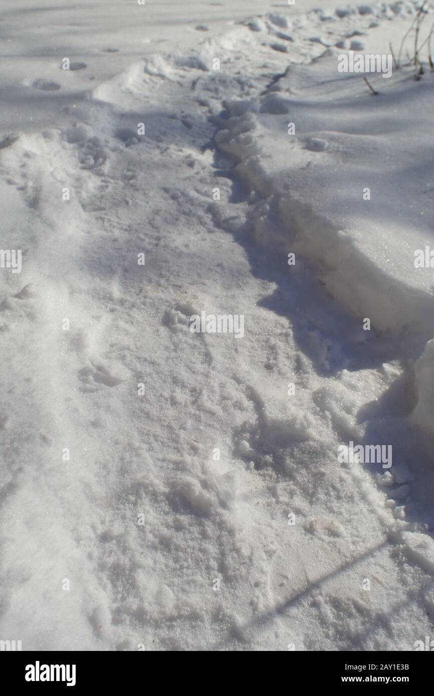 Snow path on sunny hi-res stock photography and images - Alamy