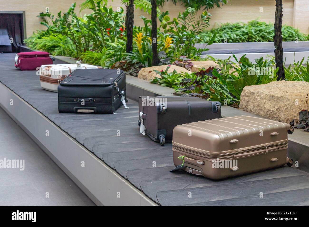Suitcases on conveyor belt at arrival terminal in airport Stock Photo ...