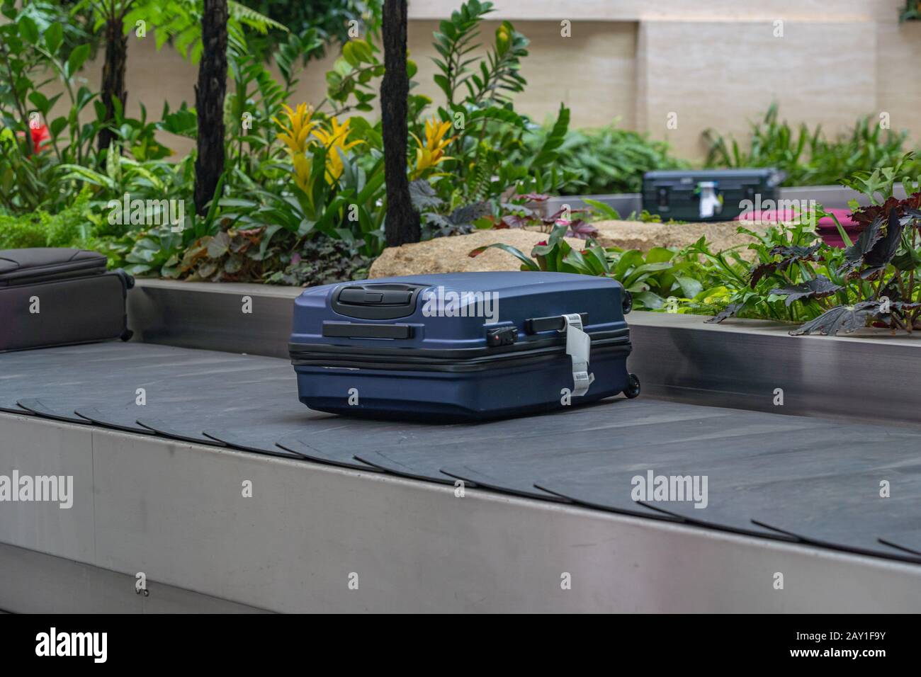 Passenger luggage on conveyor belt at arrival terminal in airport Stock ...