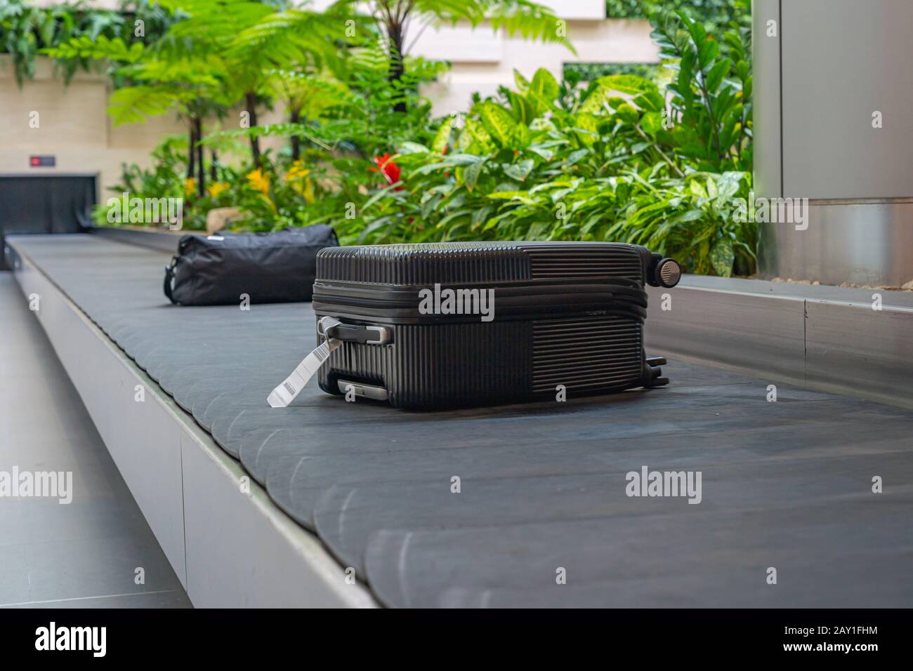 Passenger luggage on conveyor belt at arrival terminal in airport Stock ...
