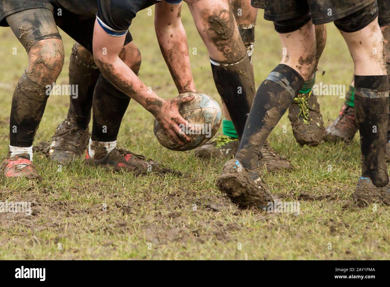 Hands holding a rugby ball during an extremely muddy rugby match Stock ...