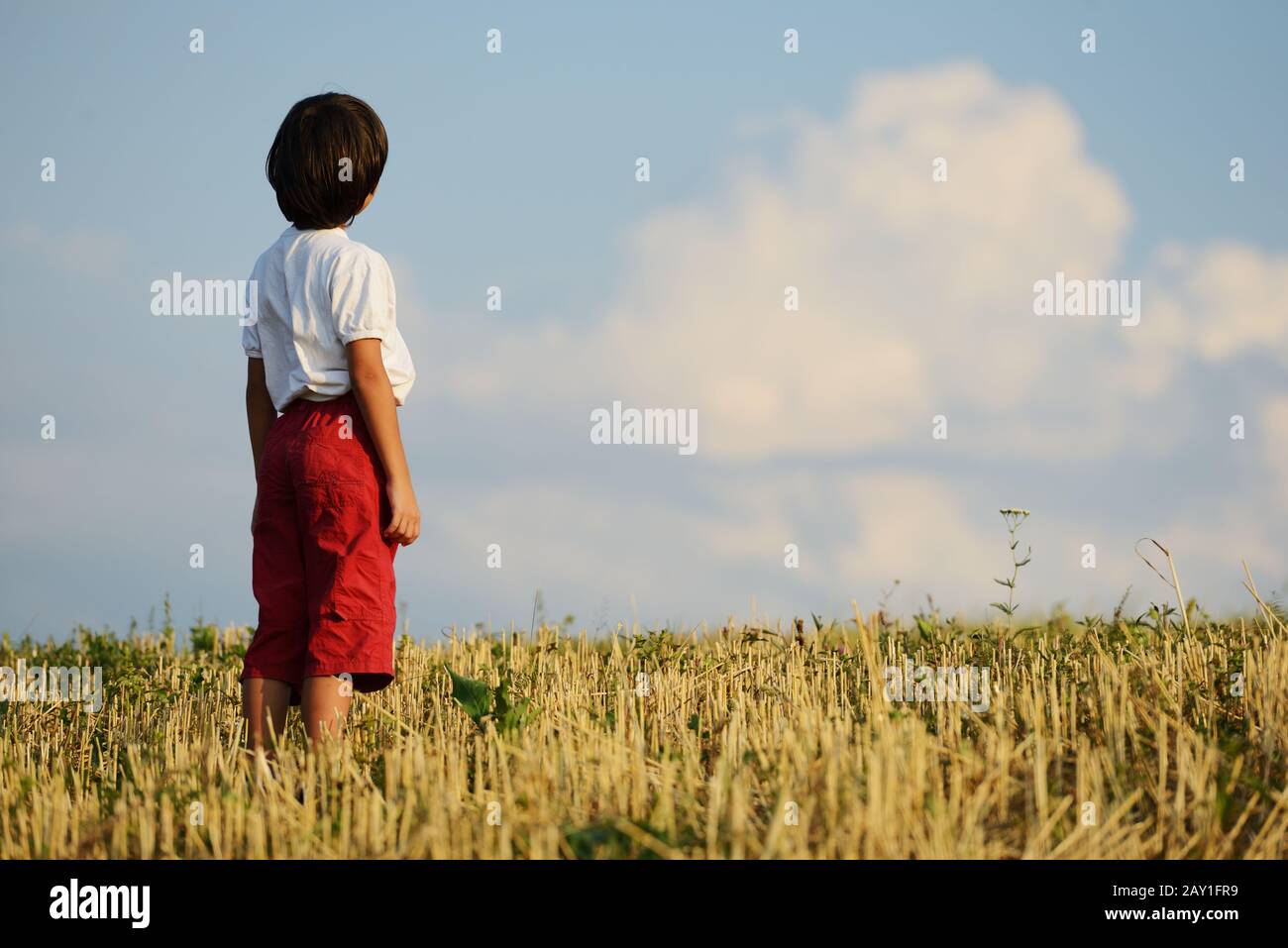 Child standing on meadow Stock Photo - Alamy
