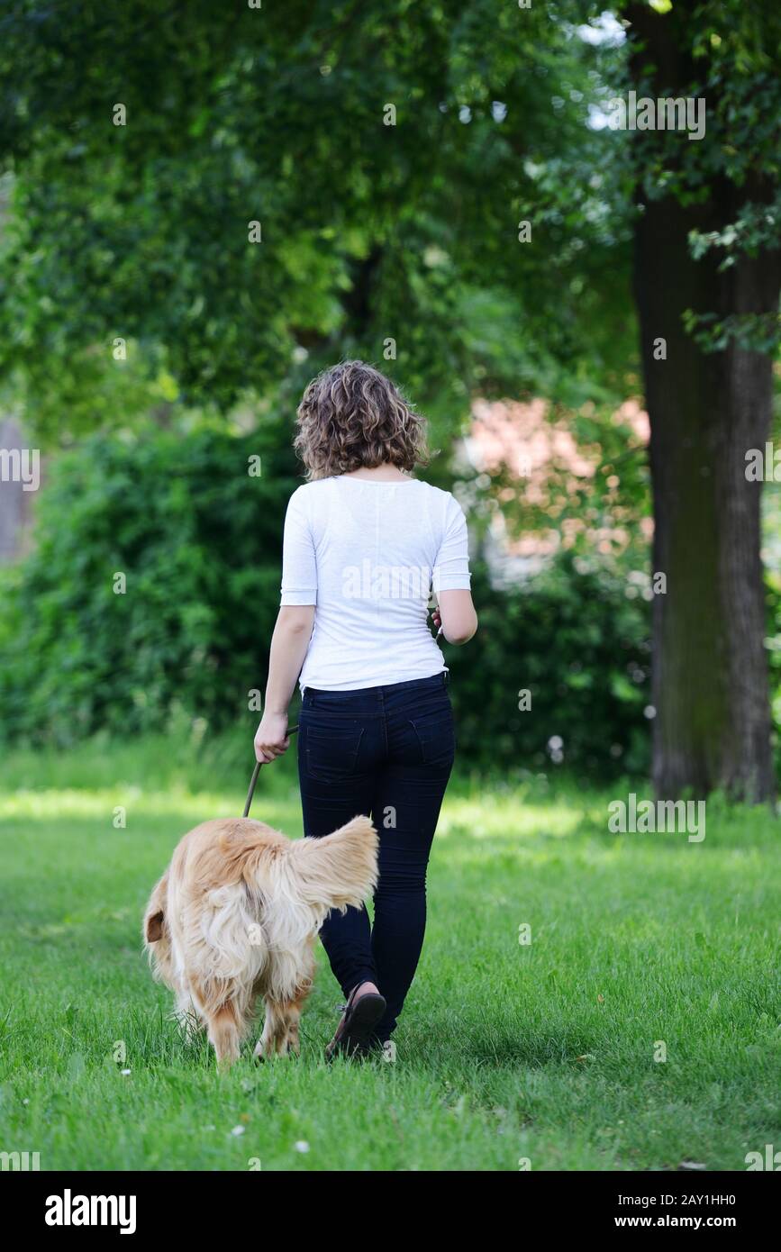 Dog walking back legs hi-res stock photography and images - Alamy