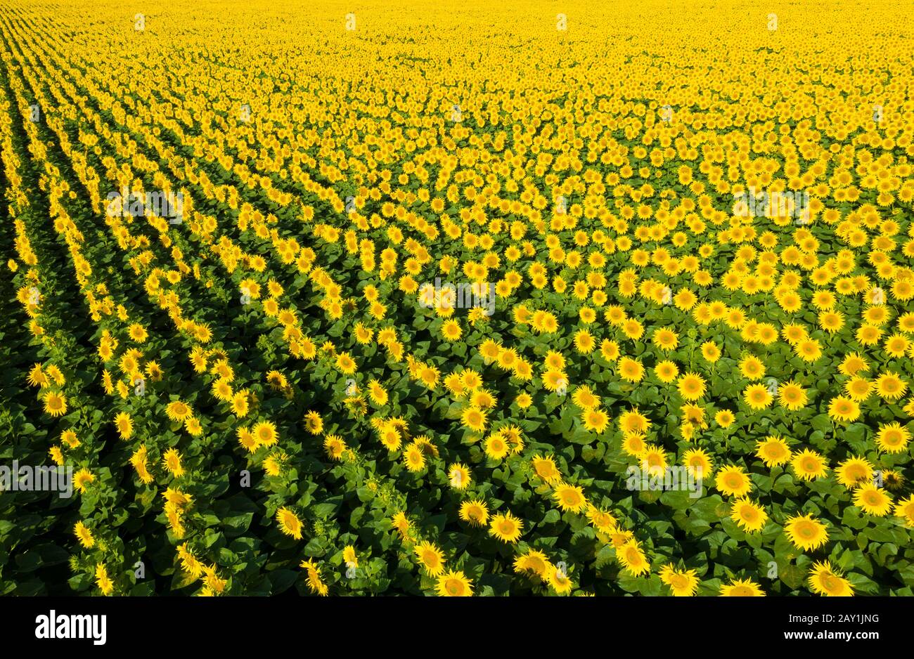 Culture circle hi-res stock photography and images - Alamy