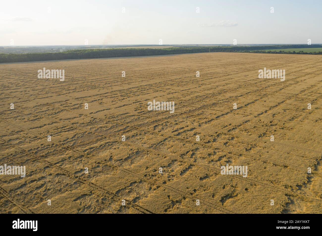 Beautiful aerial view of grain fields during golden sunset. Bird's eye ...