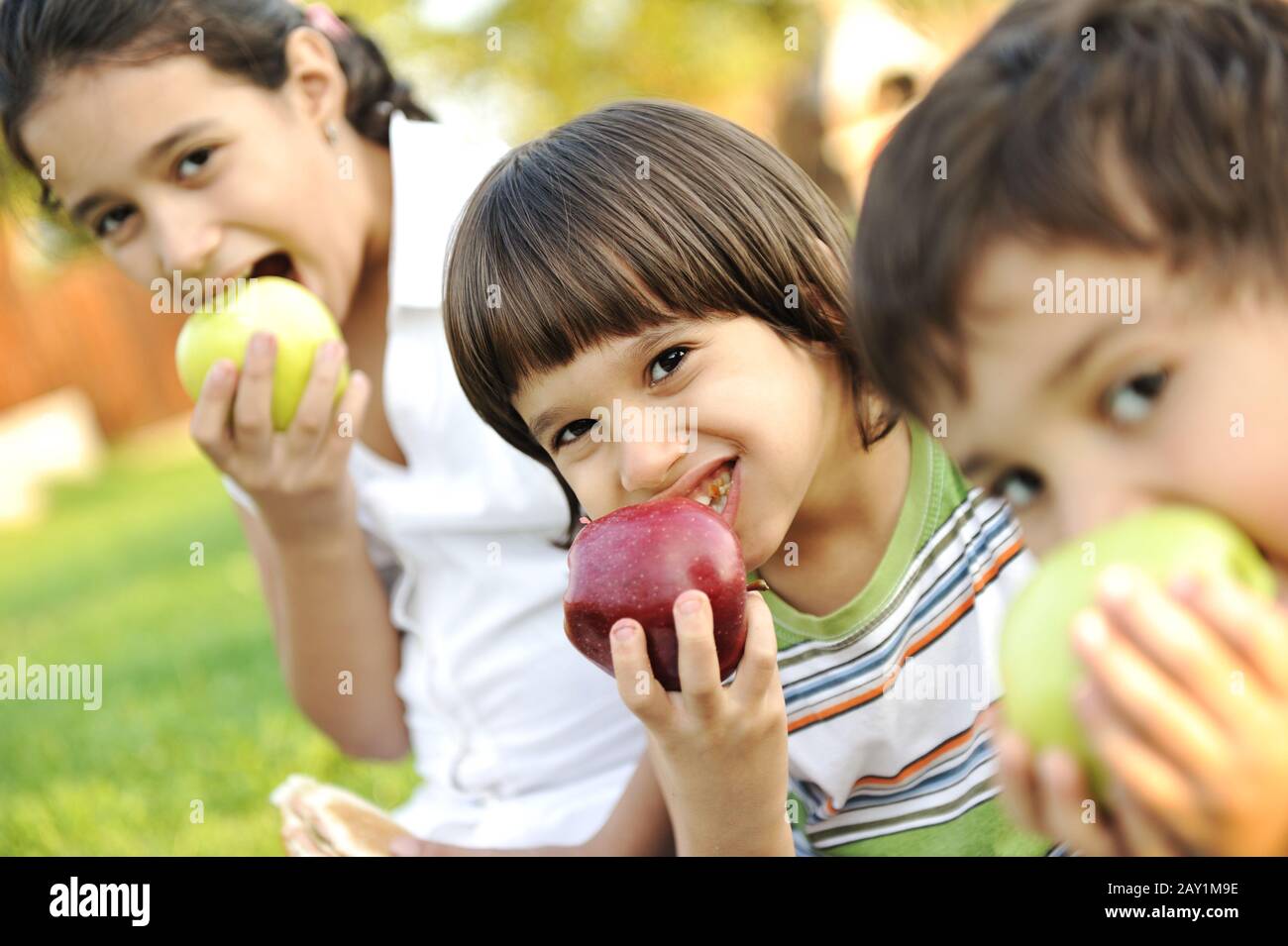 Small group of children eating apples together, shalow DOF Stock Photo ...