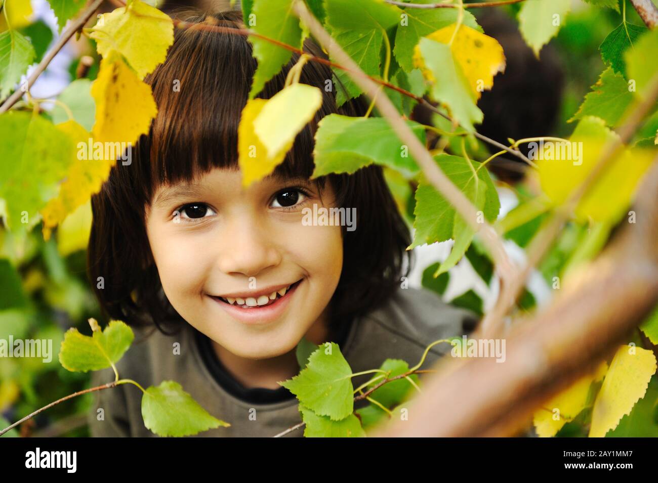 Happy childhood outdoor, happy faces between the leaves of the trees in ...