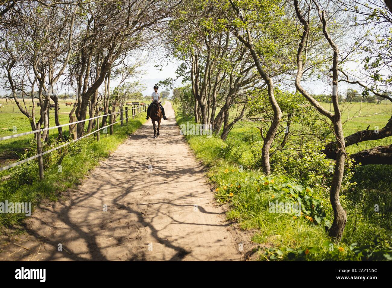 Caucasian woman riding her horse through a path Stock Photo - Alamy