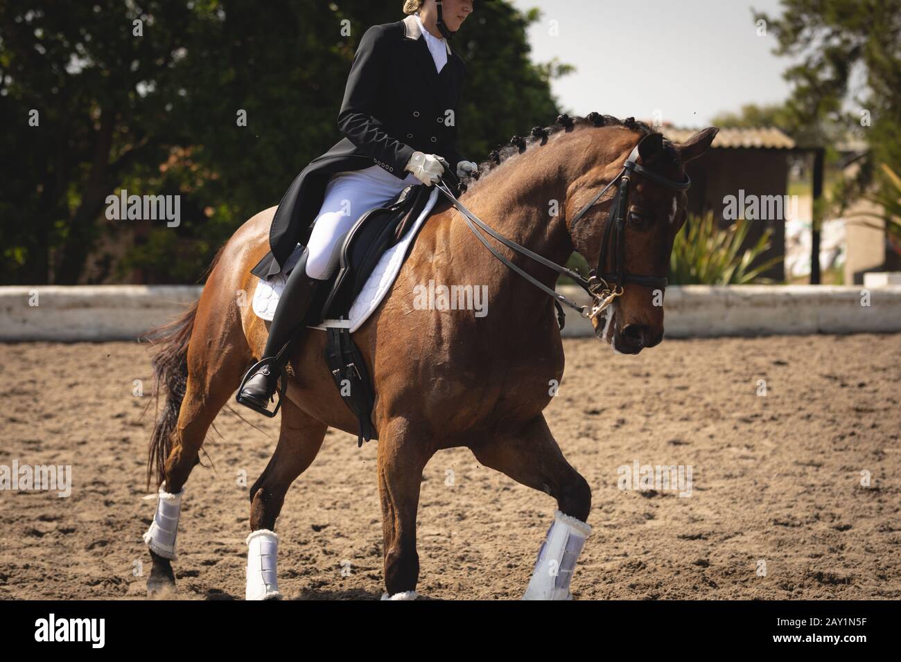 Caucasian woman riding her dressage horse Stock Photo - Alamy