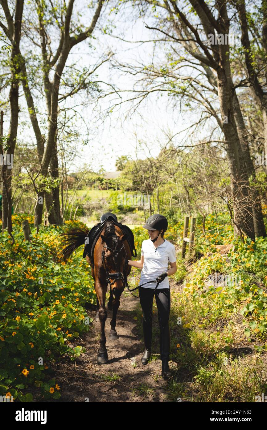 Gait training hi-res stock photography and images - Alamy