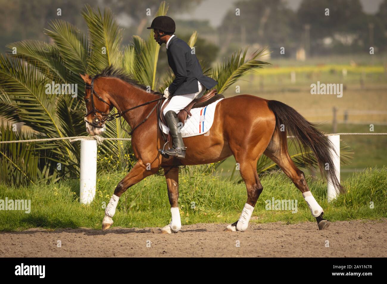 Show jumping event hi-res stock photography and images - Alamy