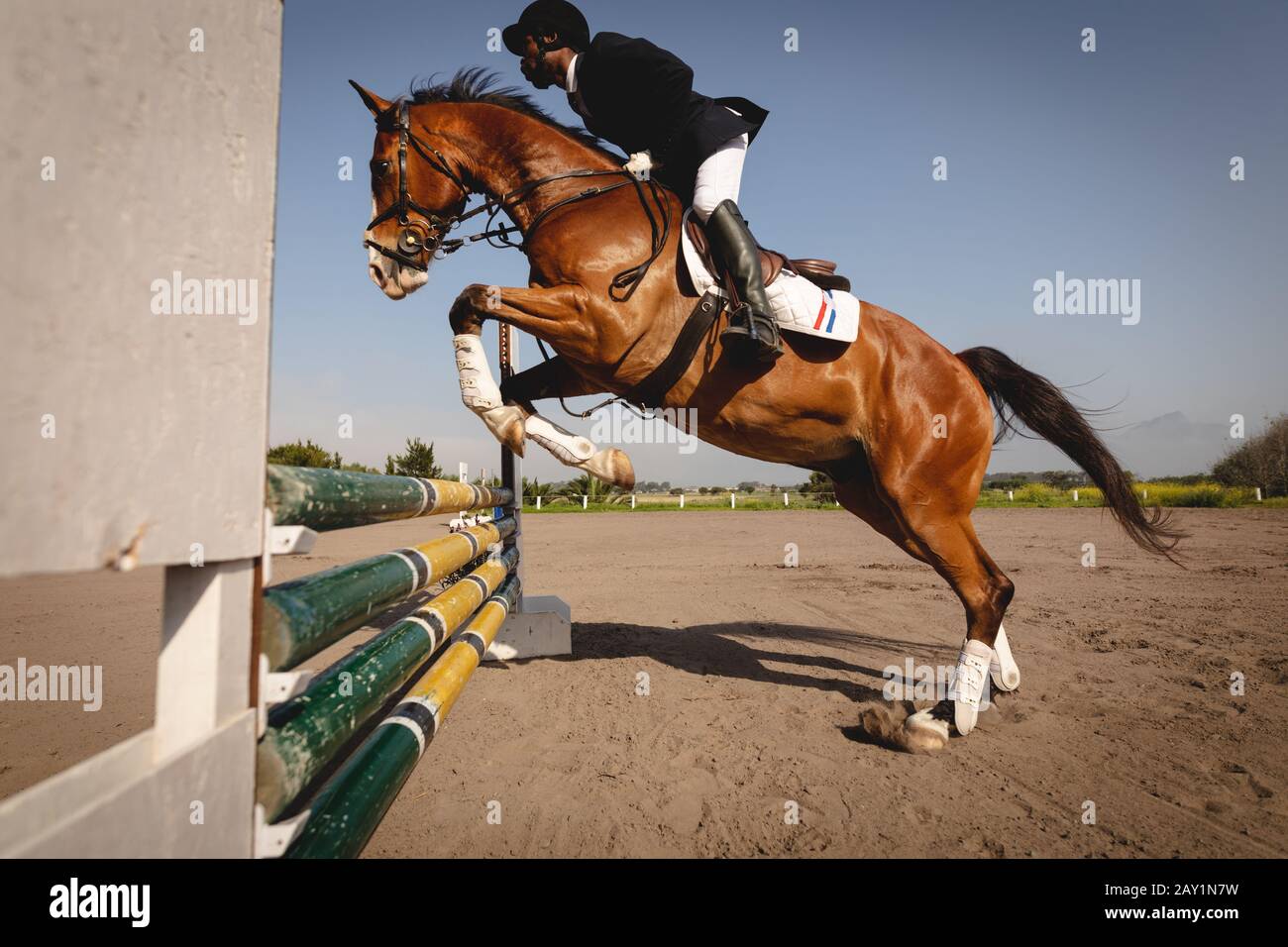 Man jumping with his dressage horse on a show jumping event Stock Photo ...