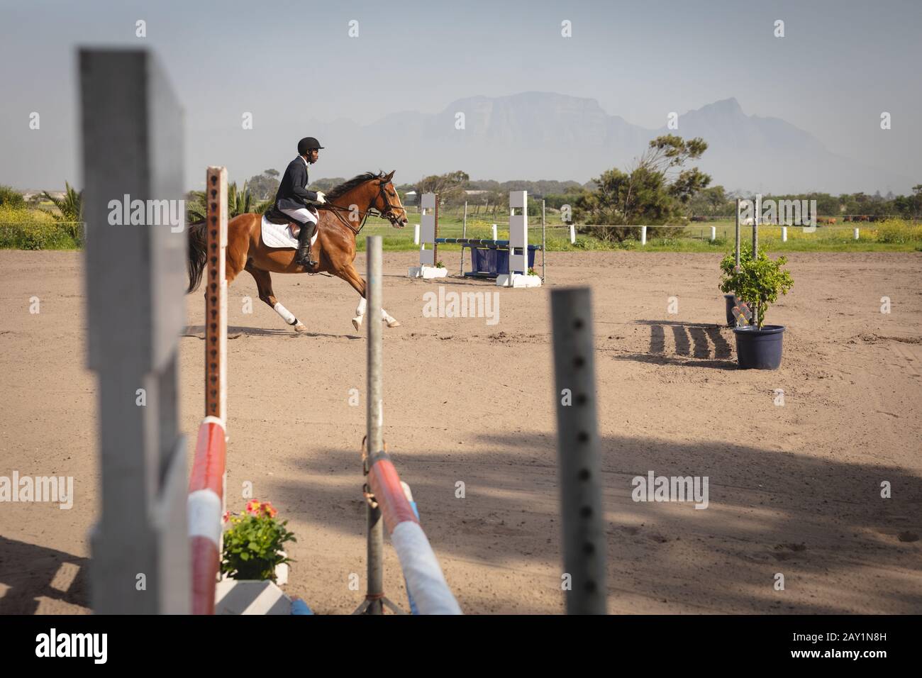 Man riding his dressage horse on a show jumping event Stock Photo - Alamy