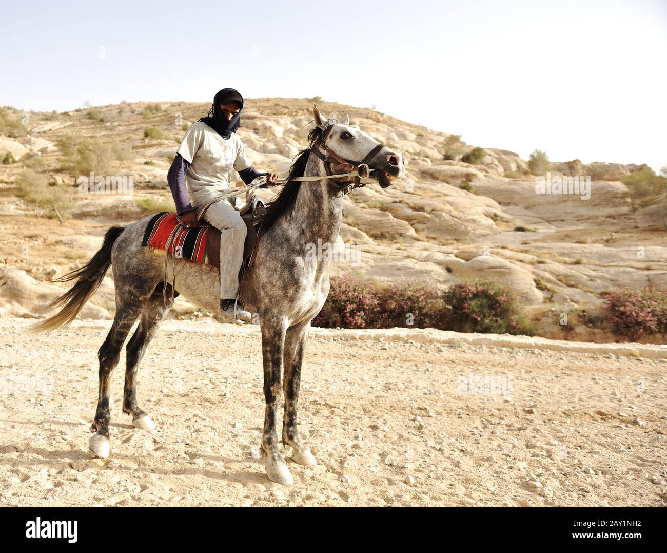 Horse and man Stock Photo - Alamy