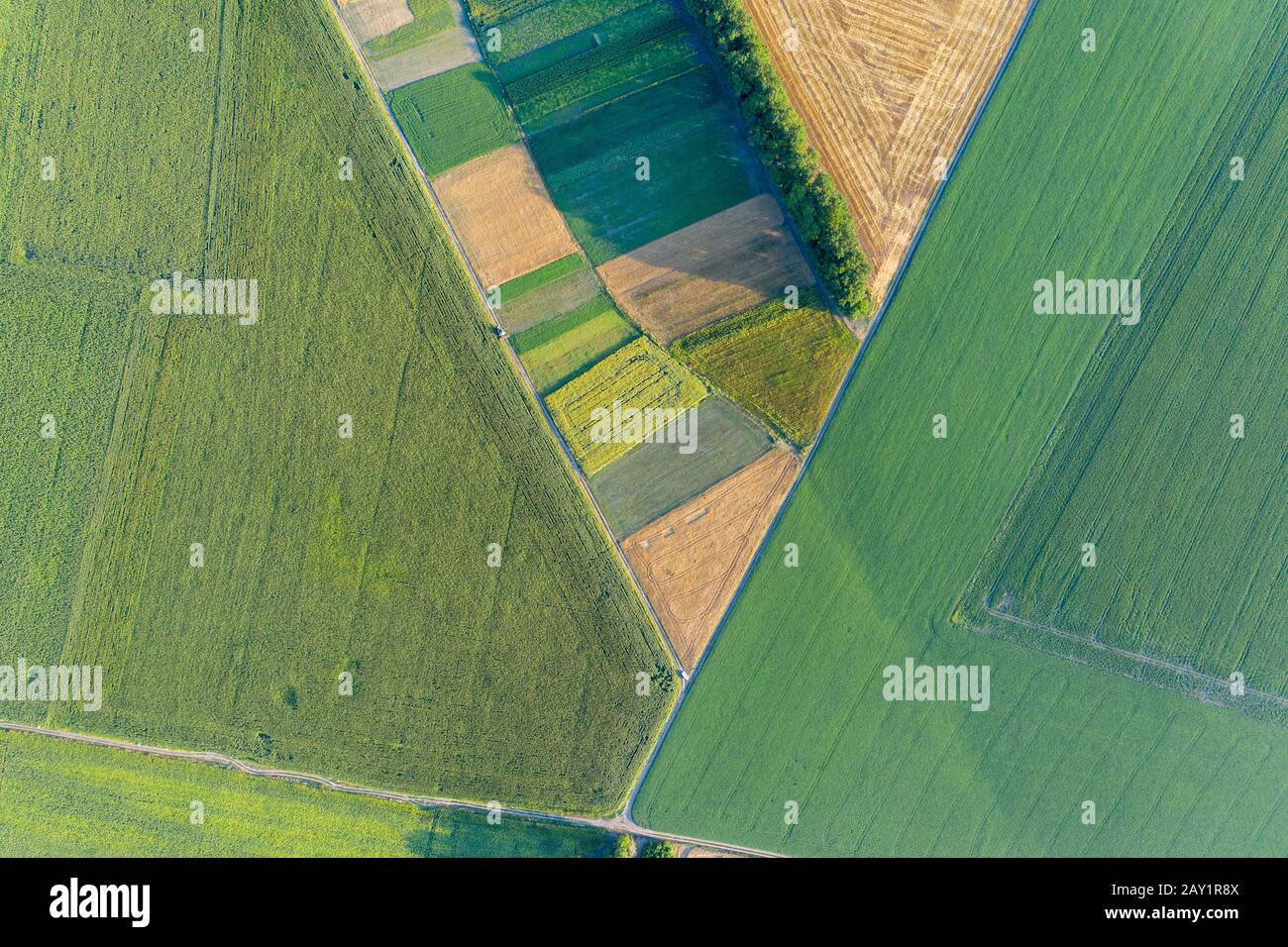 Geometric shapes in the fields from the plantations were removed by a ...