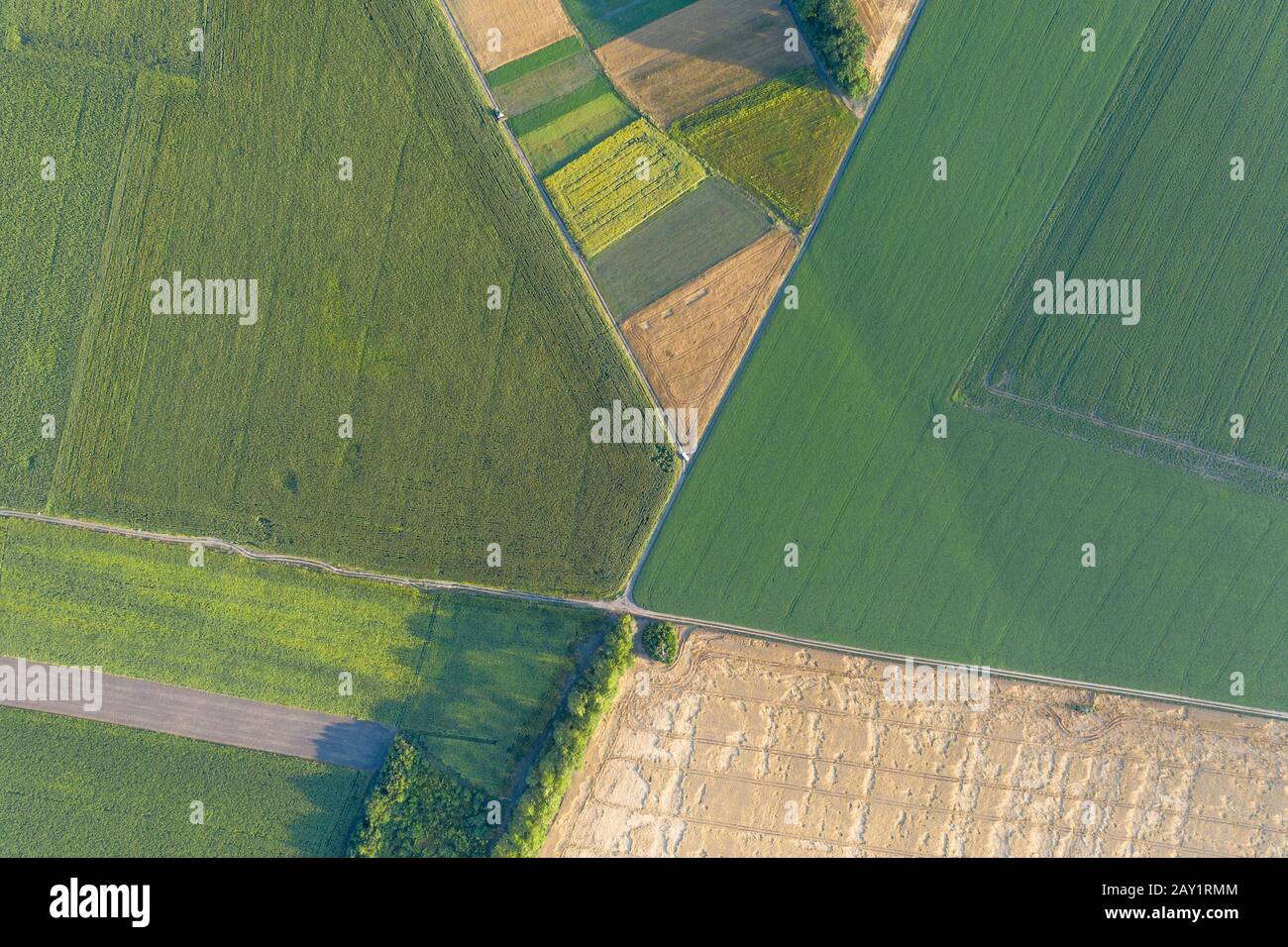 Geometric shapes in the fields from the plantations were removed by a ...