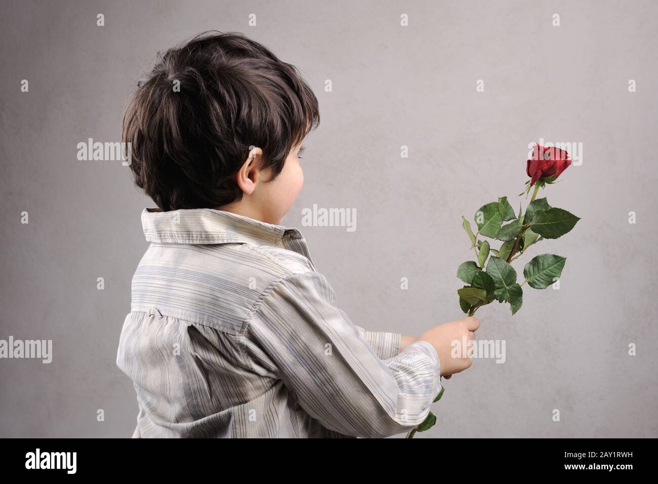 Boy giving a rose Stock Photo - Alamy