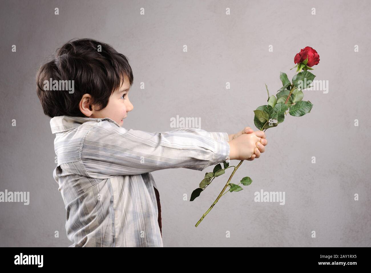 Boy giving a rose Stock Photo - Alamy