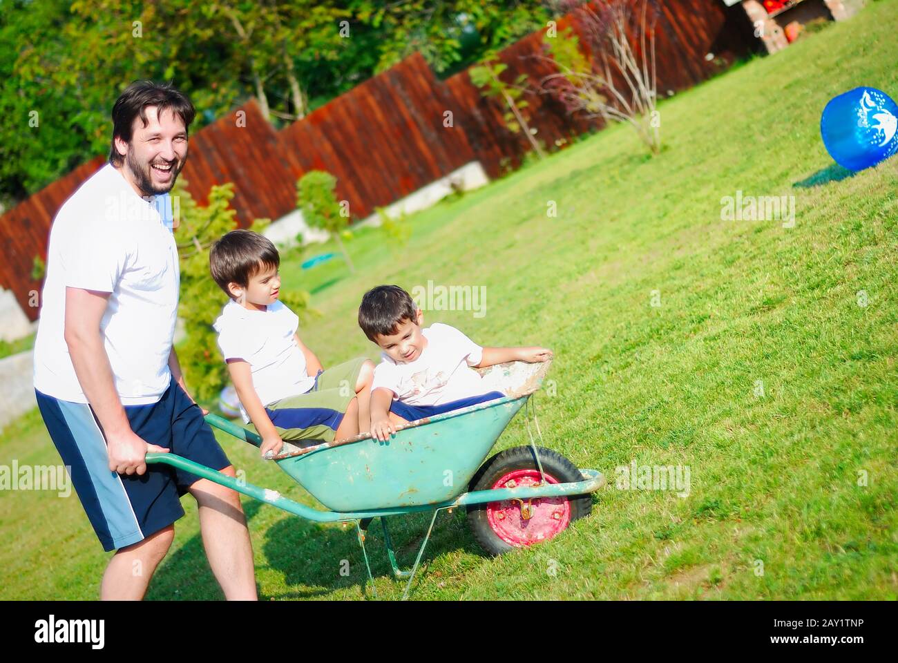 Dad in white driving boys on the wheelbarrow Stock Photo - Alamy
