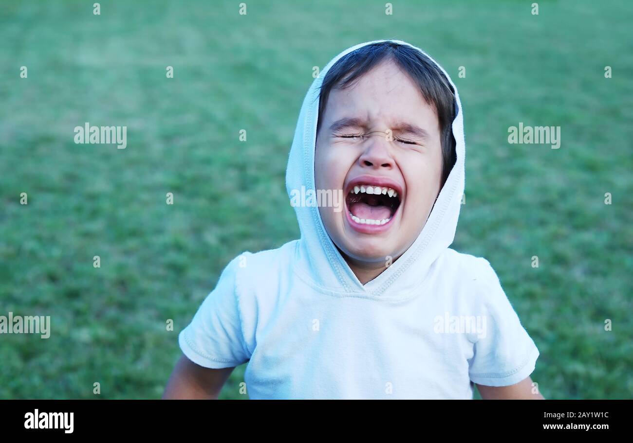 Wideli hi-res stock photography and images - Alamy