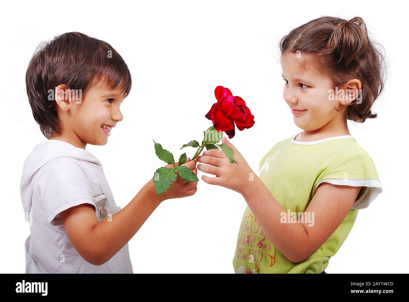 Very cute scene of two little children with rose Stock Photo - Alamy