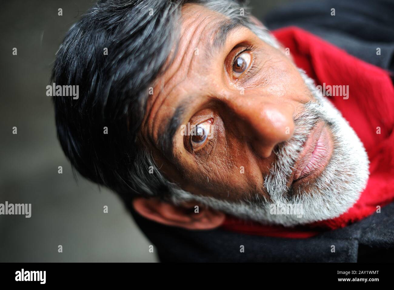 Face of an old african american black man Stock Photo - Alamy