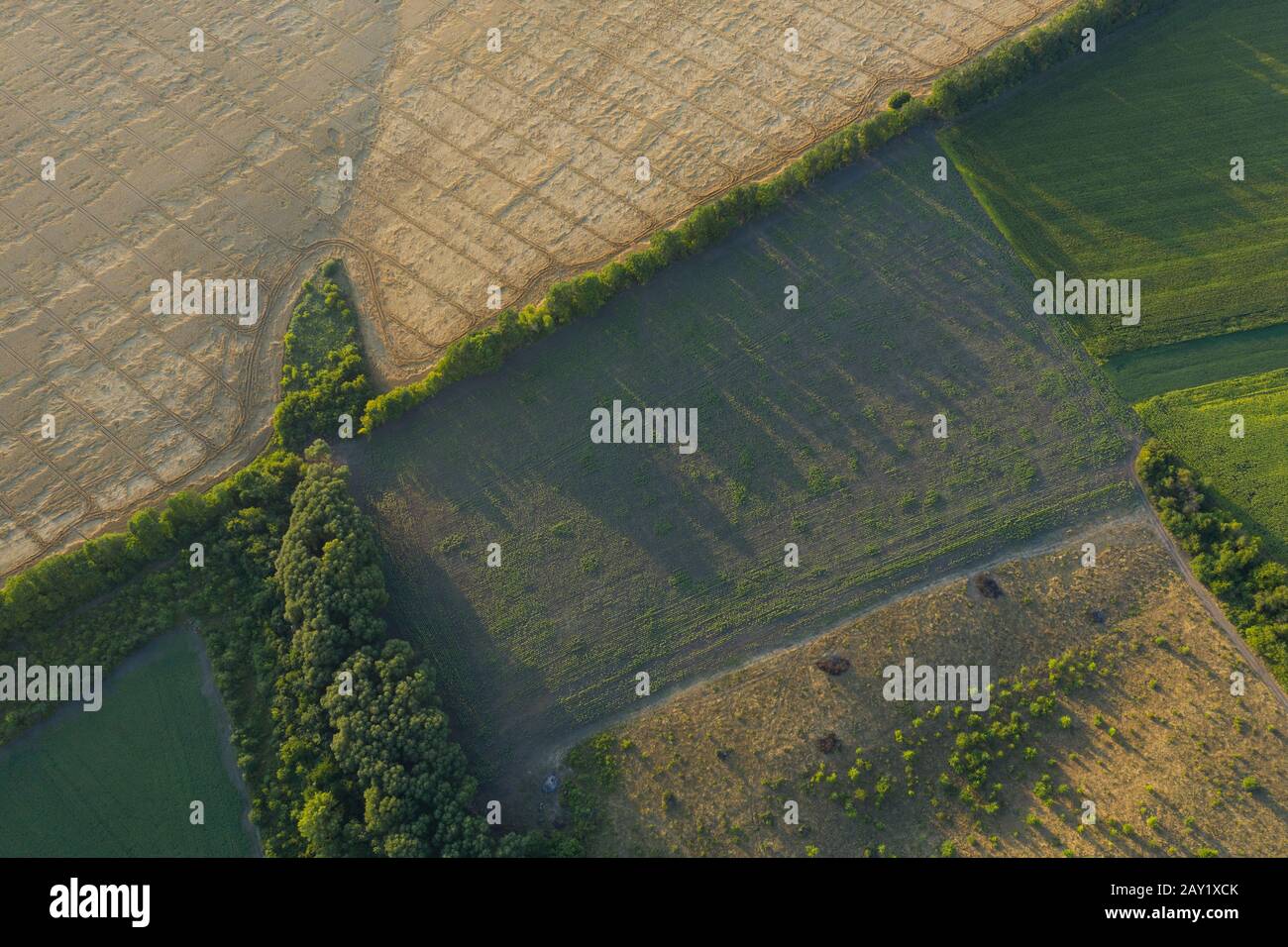Raised relief map hi-res stock photography and images - Alamy