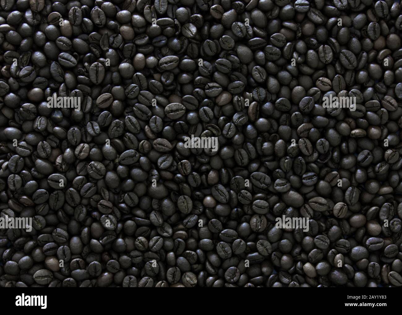 Coffee grain texture background. Beans for grinding the beverage ...