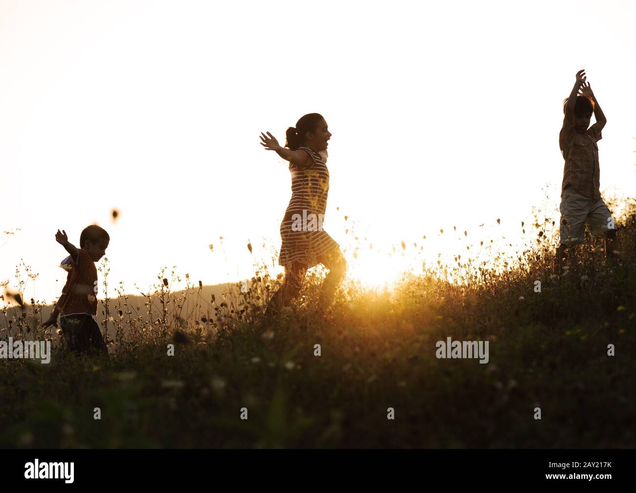 Happy children in nature at sunset Stock Photo - Alamy