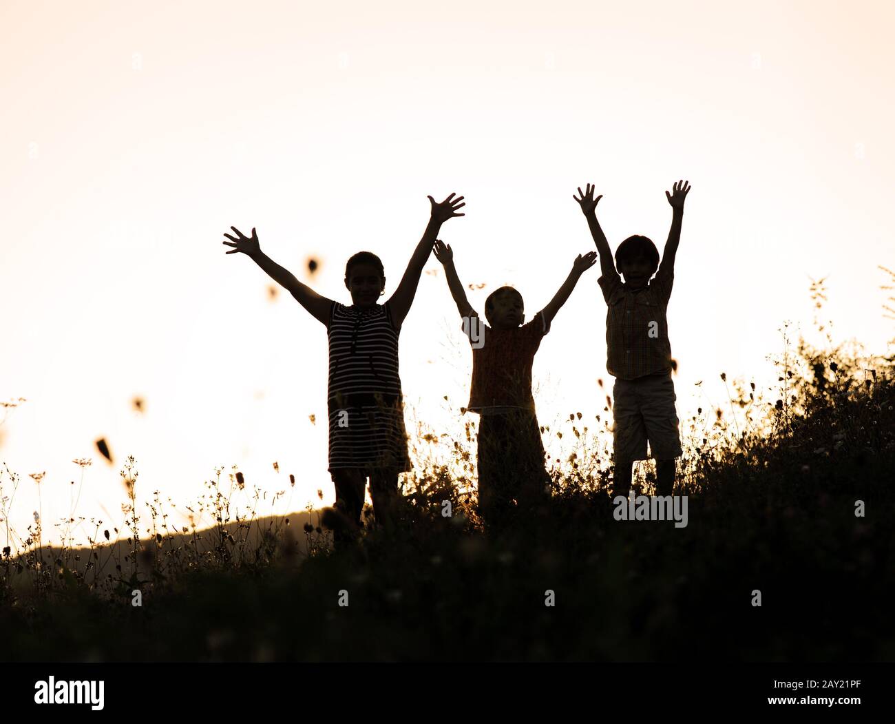 Happy children in nature at sunset Stock Photo - Alamy