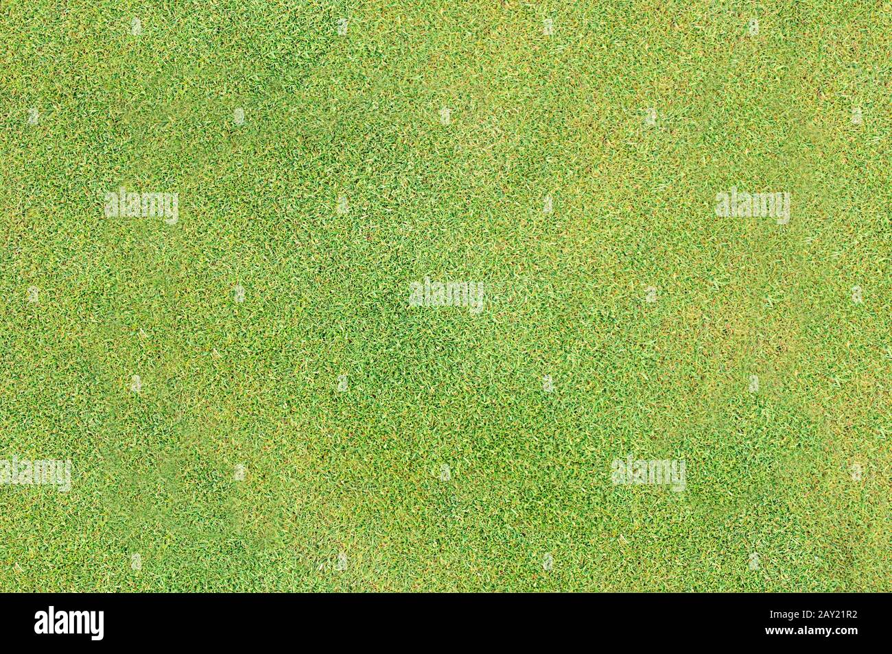 Grass background large resolution Stock Photo - Alamy