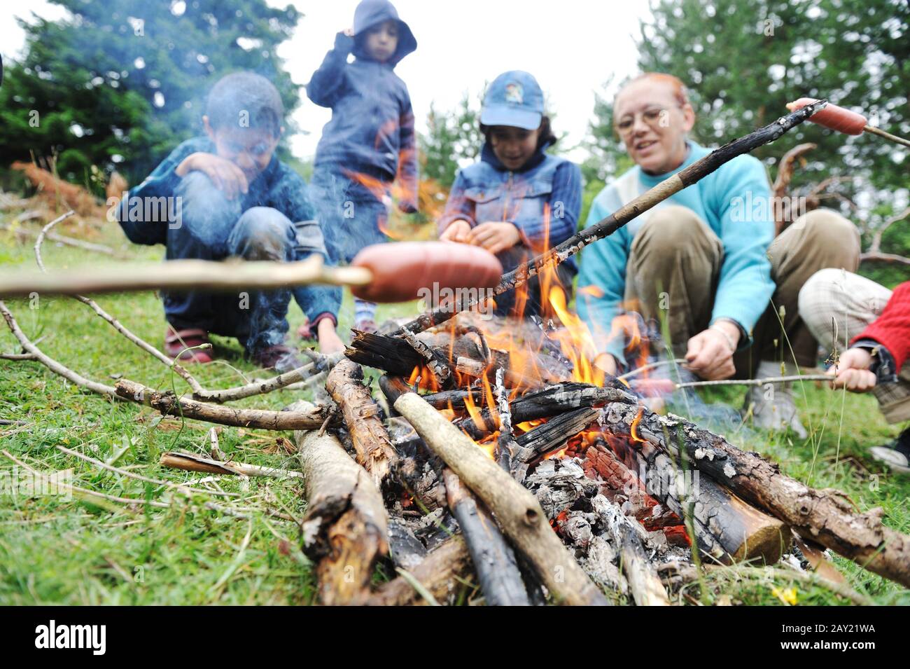Barbecue in nature Stock Photo - Alamy