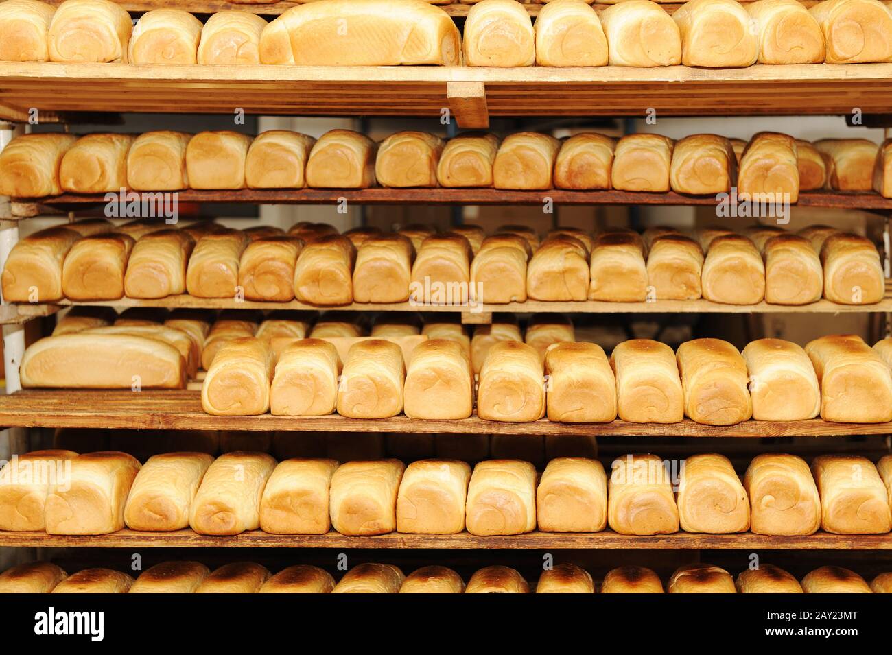 In bread bakery, food factory Stock Photo - Alamy