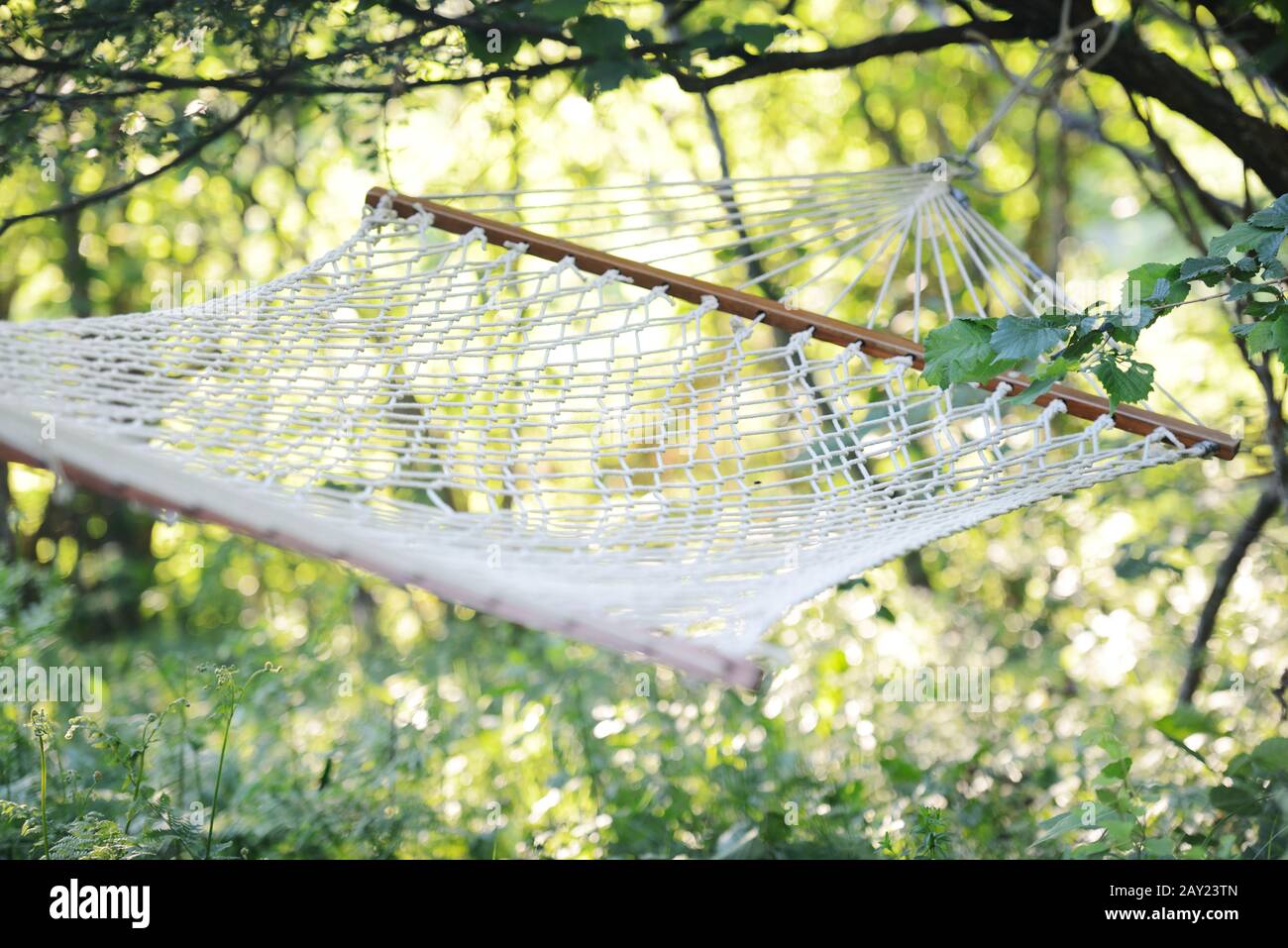Hammock summer net Stock Photo - Alamy