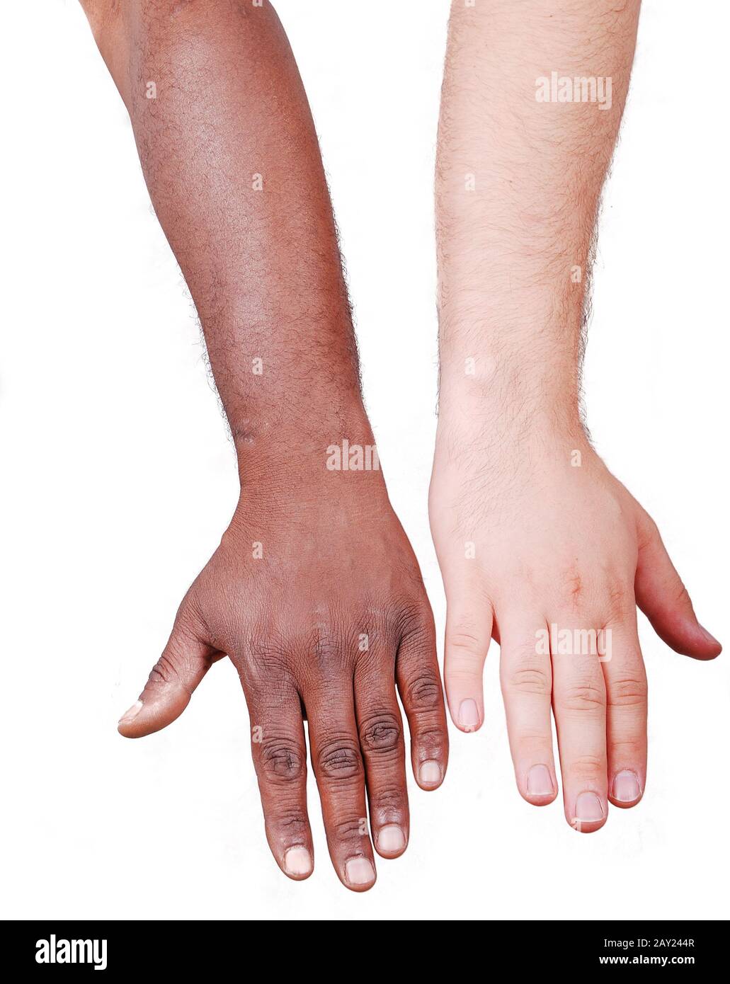 Human hands different skin Cut Out Stock Images & Pictures - Alamy
