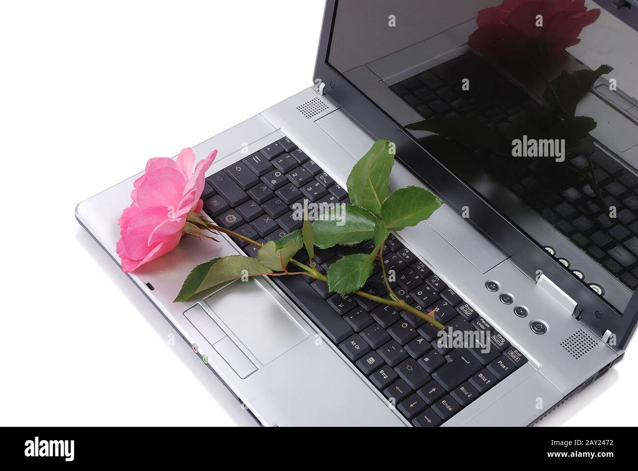 Beautiful roses and laptop Stock Photo - Alamy