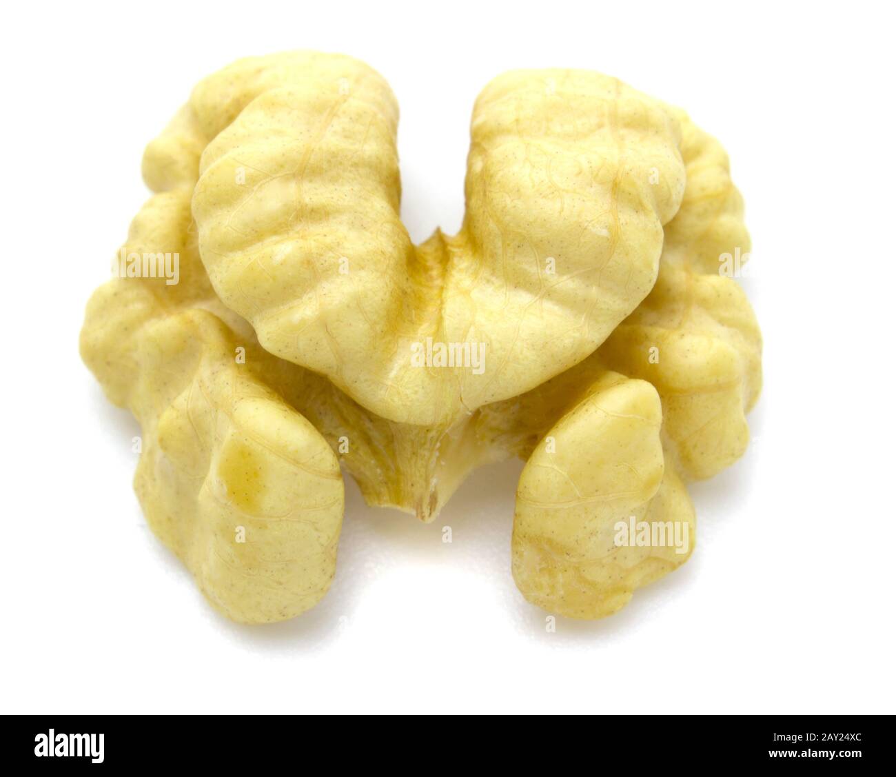 half kernel of walnut on white background. Walnut without shell ...