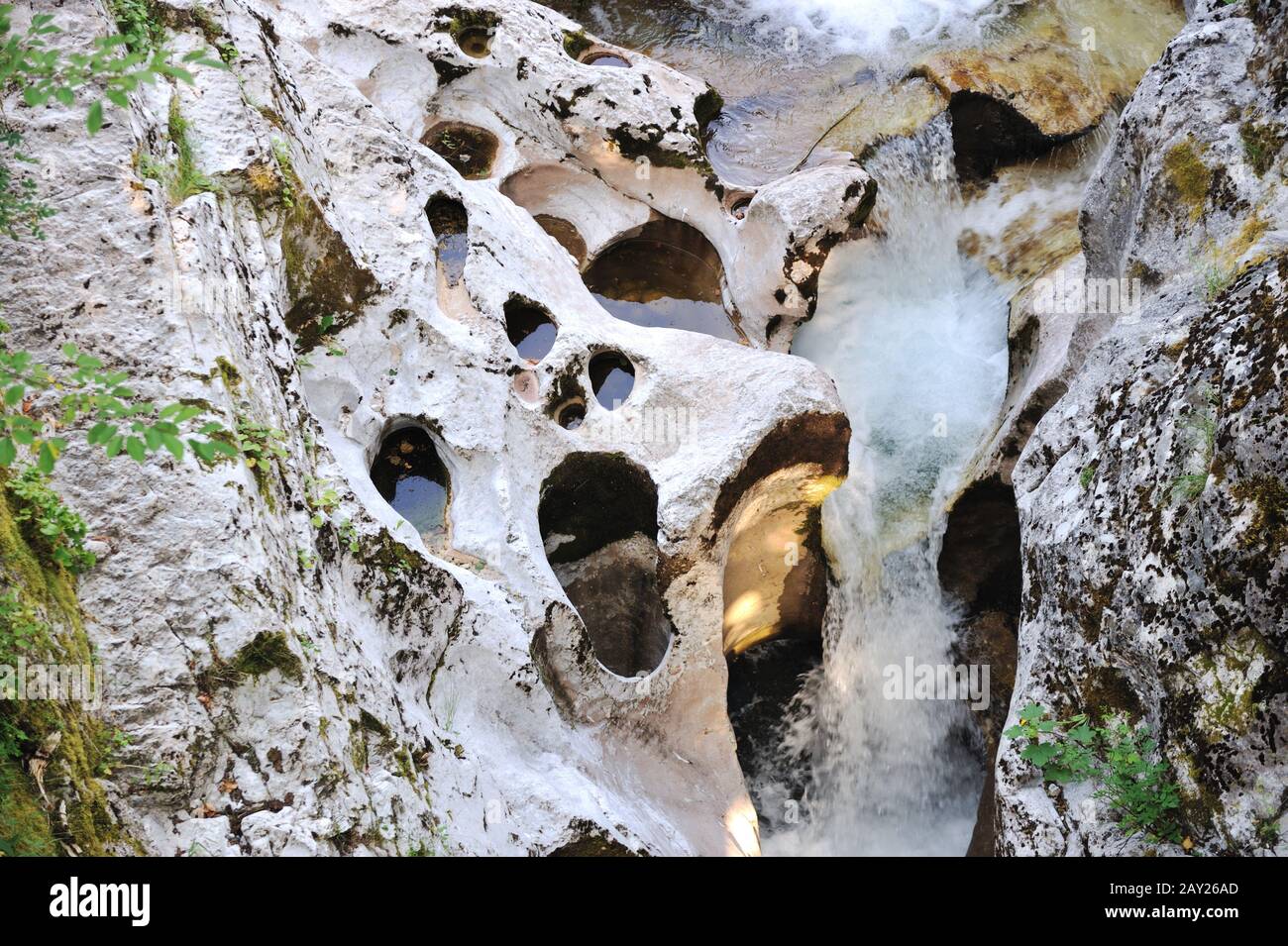 Source of water in nature Stock Photo - Alamy