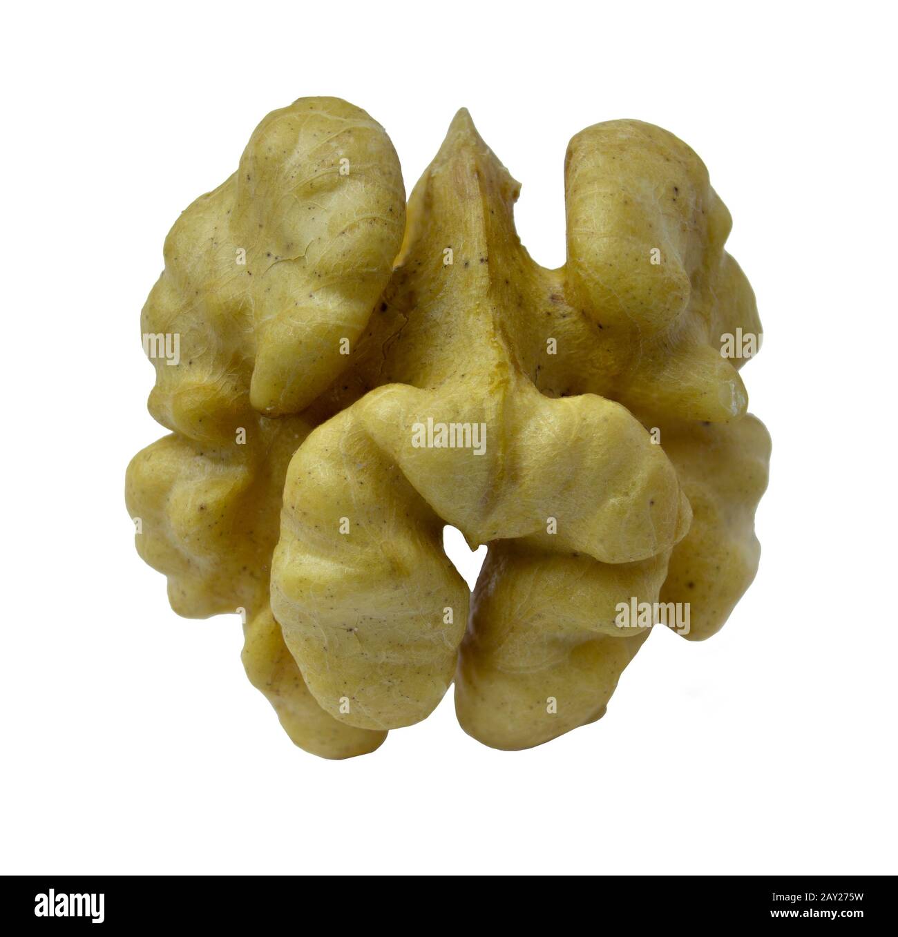 Walnut brain hi-res stock photography and images - Alamy