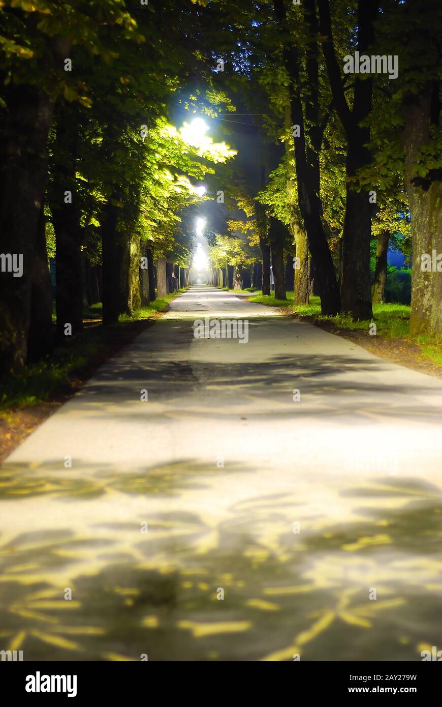 Path between night and daylight Stock Photo - Alamy