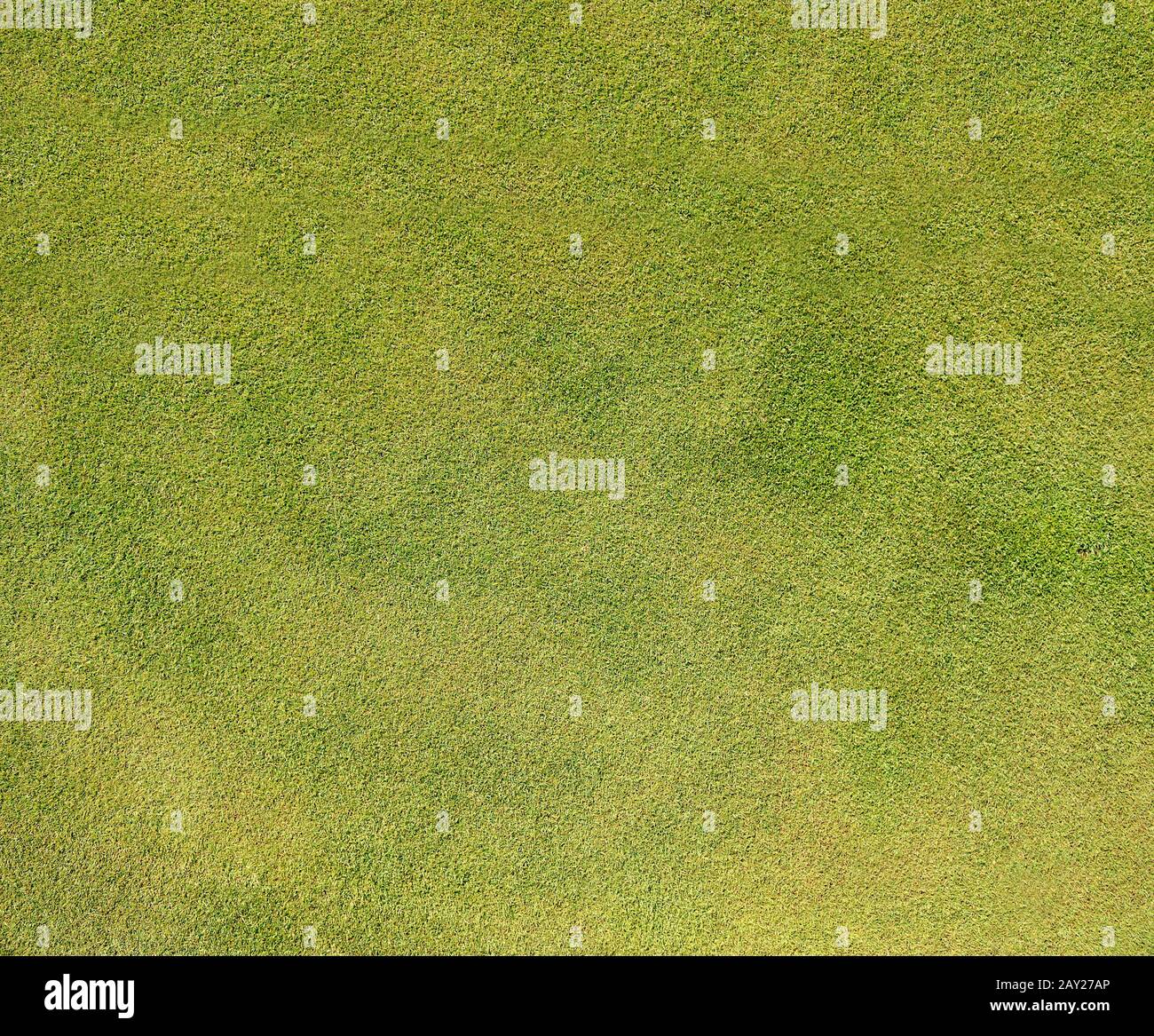 Grass in large resolution Stock Photo - Alamy