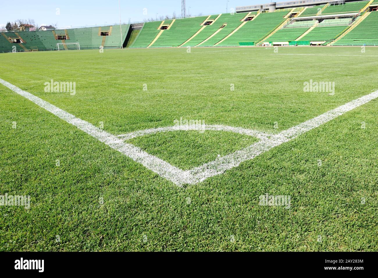 Soccer field with beautiful green grass in stadium Stock Photo - Alamy